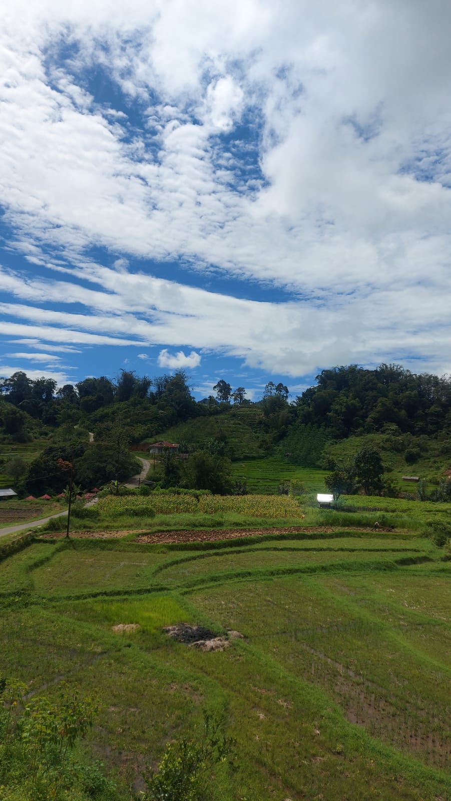 Perjalanan ke Desa Wisata Sarugo, Sumatera Barat: Sebuah Petualangan ...
